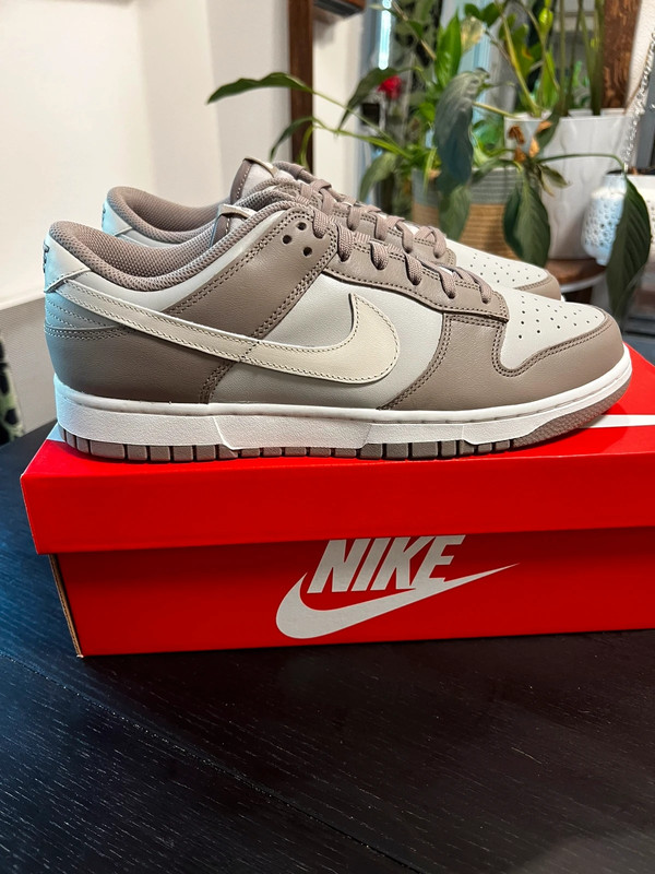 Dunk Low Bone Beige – Universe Kickz